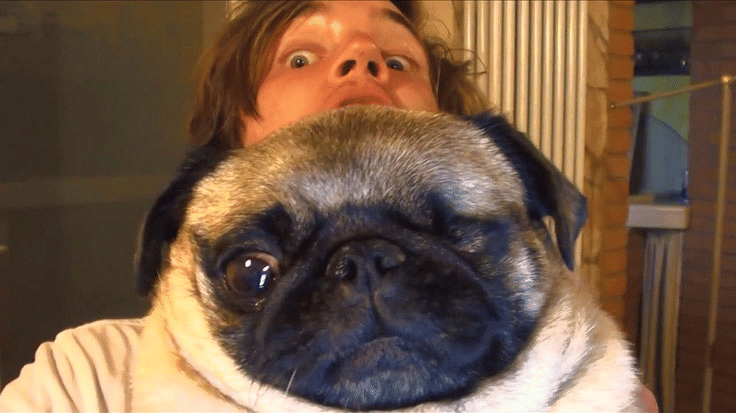 Pewdiepie En Maya