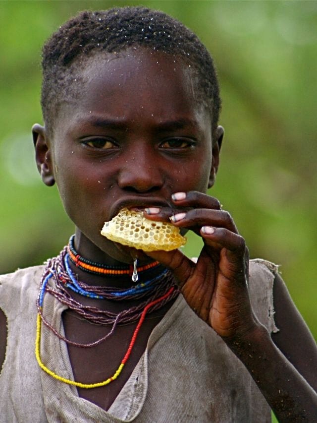 Living Like the Hadza: 6 Secrets to a Healthier Life - Sportskeeda Stories