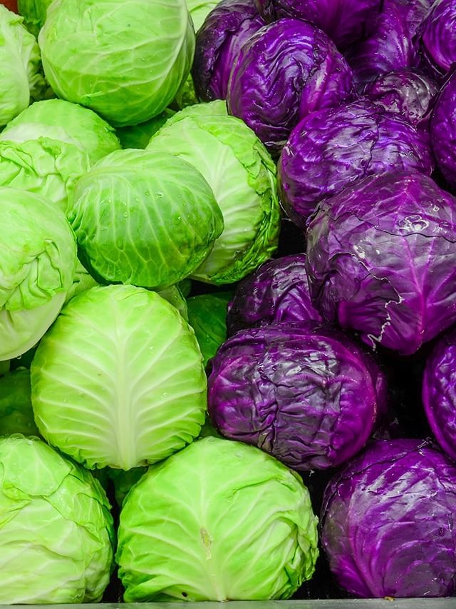 6 Reasons Why Cabbage Should Be Your New Favourite Vegetable ...