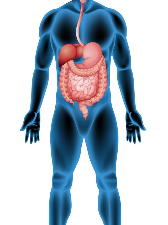 Gut Check: 6 Simple Ways to Improve Your Digestive Health Today ...