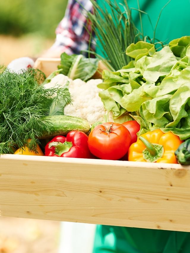 Going Organic: Unlocking the 6 Amazing Benefits of Organic Food ...
