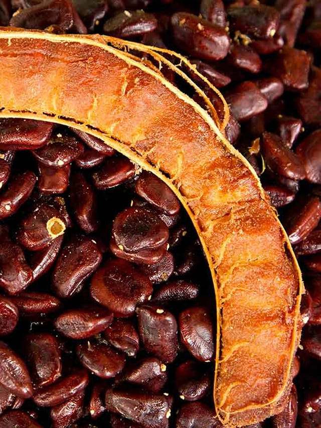 5 Health Benefits Of Tamarind Seeds - Sportskeeda Stories