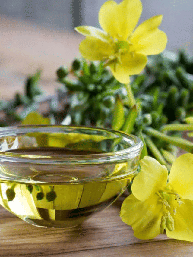 7 Incredible Benefits of Evening Primrose Oil - Sportskeeda Stories