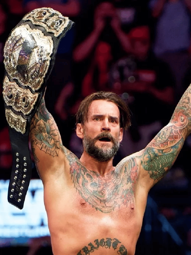 CM Punk X Real-Life Fights: AEW And WWE Stars - Sportskeeda Stories