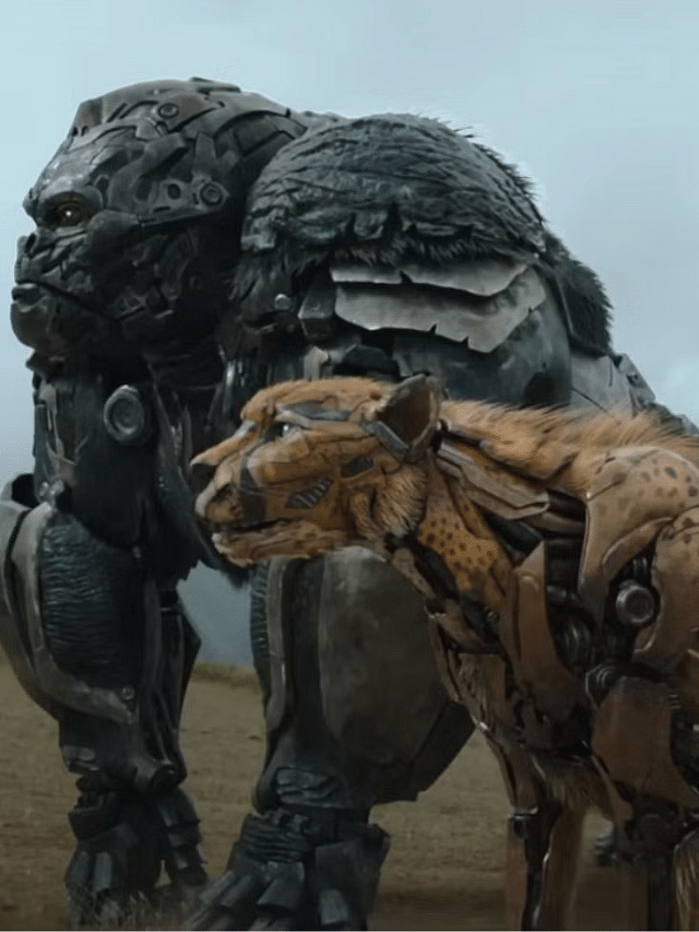 Are Transformers & G.I. Joe in the same universe? - Sportskeeda Stories