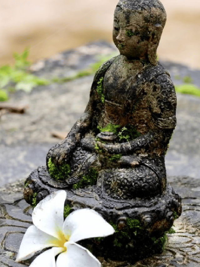 Holistic Living Made Easy: 5 Steps To A Balanced Life - Sportskeeda Stories
