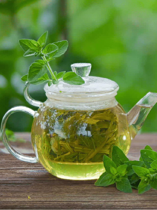 6 Surprising Benefits Of Oregano Tea - Sportskeeda Stories