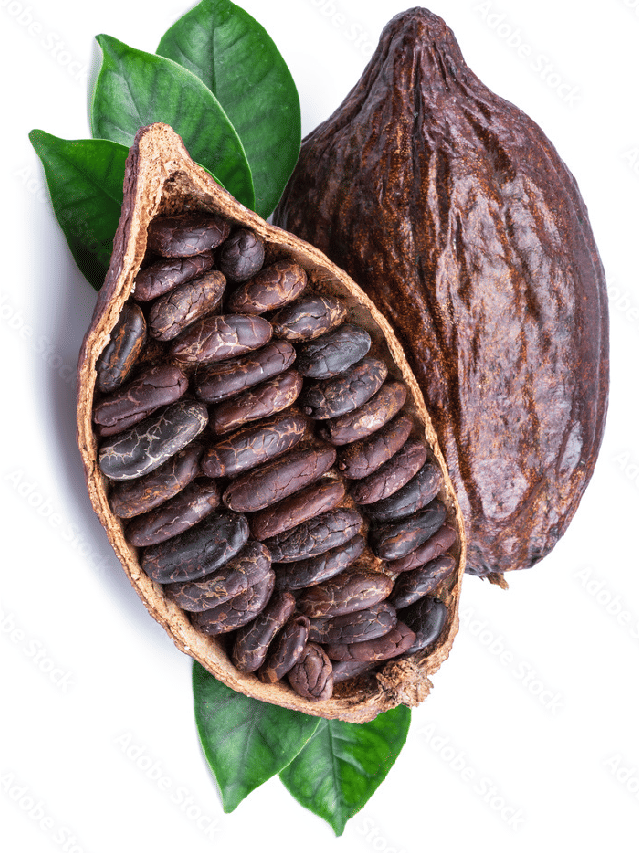6 Surprising Health Benefits Of Cocoa Extract - Sportskeeda Stories